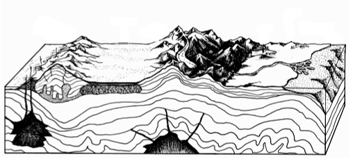 GL Continent Activity